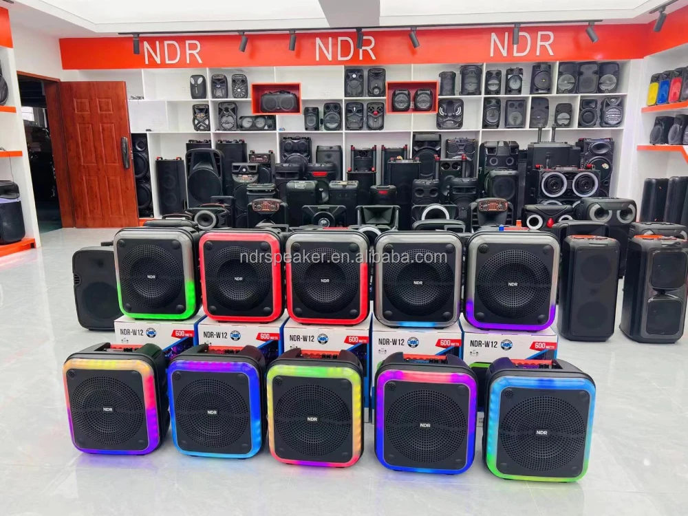 NDR-P55 Karaoke Speaker - 8 Inch Woofer with BT & Remote