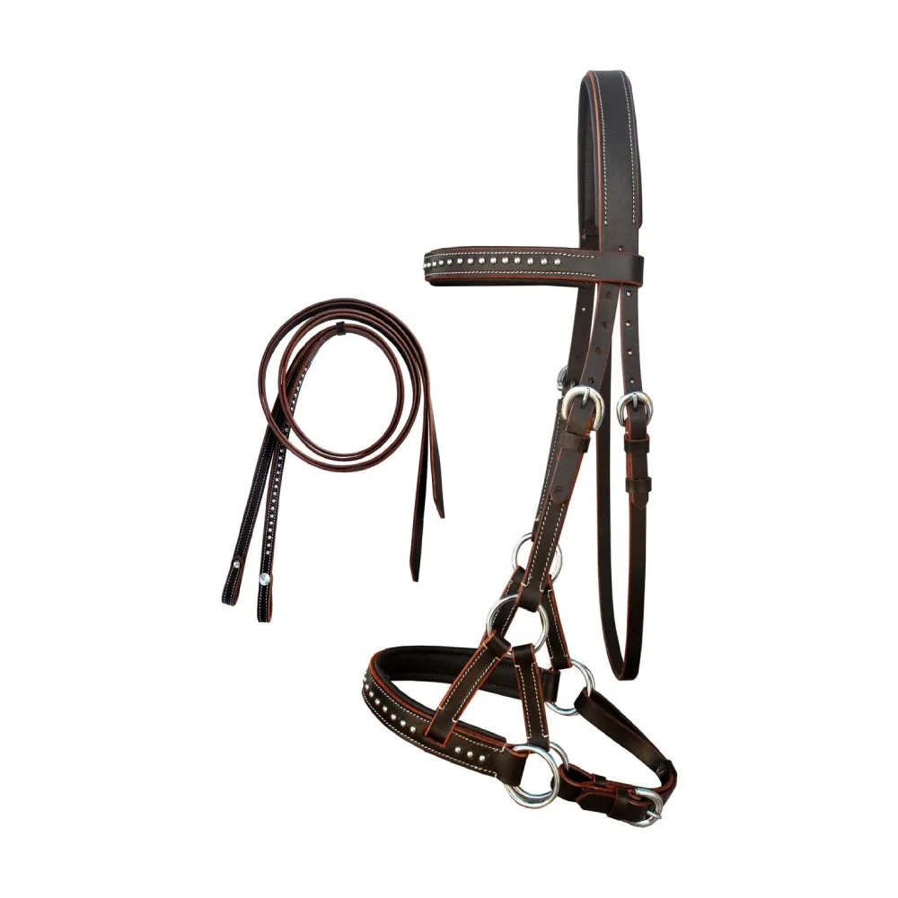 English Bridle Leather Vs Regular Leather at David Killian blog