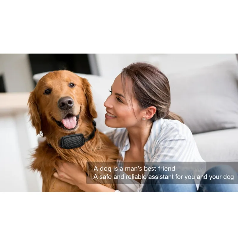 Rechargeable Smart Anti Barking Collar - Buy Dog Bark Control Collar ...