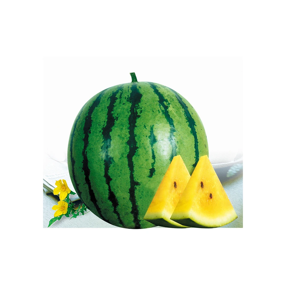Yellow Seedless Watermelons from Egypt - Fresh & Organic