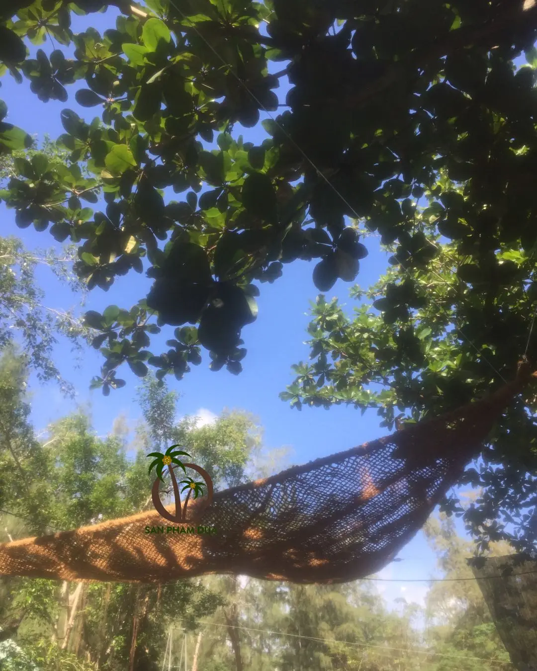 Coir Geotextile Coconut Fiber Mesh Coco Mat Roll Eco Friendly Hand ...