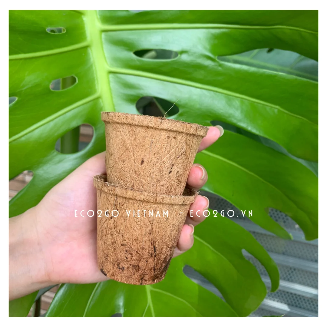 Eco-friendly And Natural Coconut Coir Fiber Pot/ Coconut Fiber Plant ...