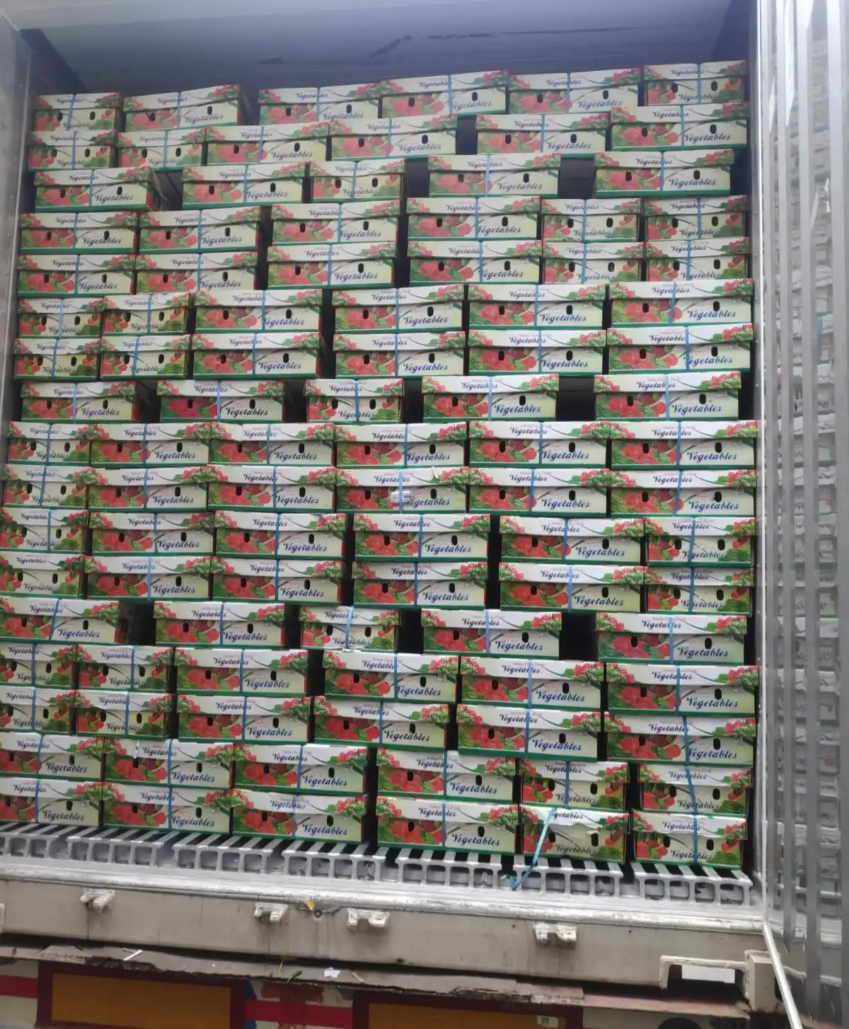 Fresh Green Chilly/g4 Chilly/fresh Indian Vegetables! - Buy Fresh Green ...