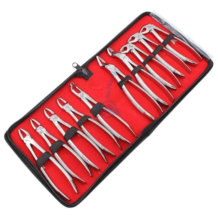 Dental Tooth Extraction Forceps Set Of 10 Pcs Steeliness Steel ...