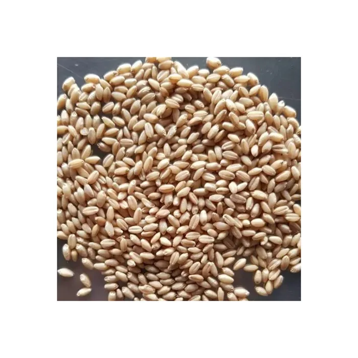 Wheat From Dried Grade 3 Wheat Grain Best Wholesale Price - Buy Premium ...