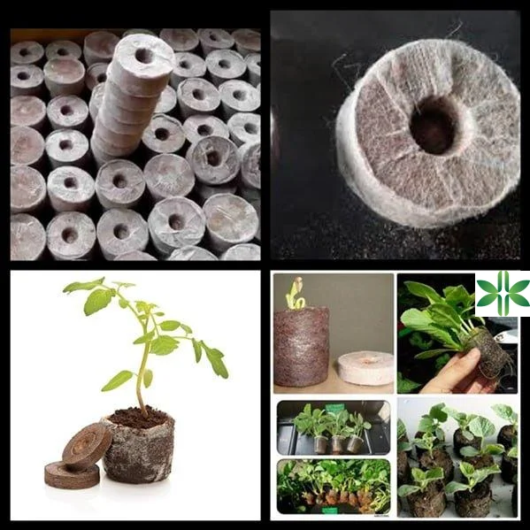 Starting Seeds Coco Coir Pellet For Growing Plant Flower Garden In ...