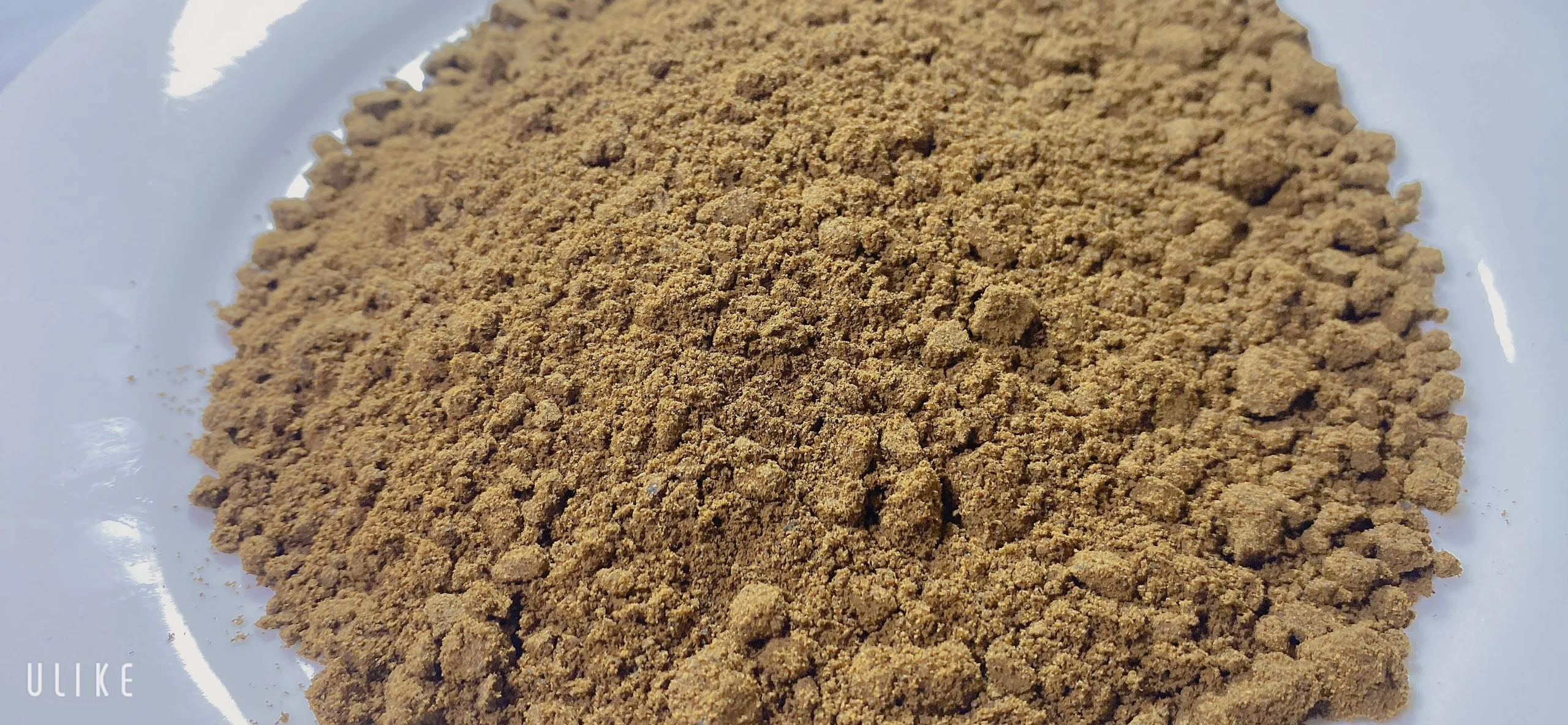 Black Soldier Fly Larvae Powder Black Soldier Fly Worms Ranova High ...