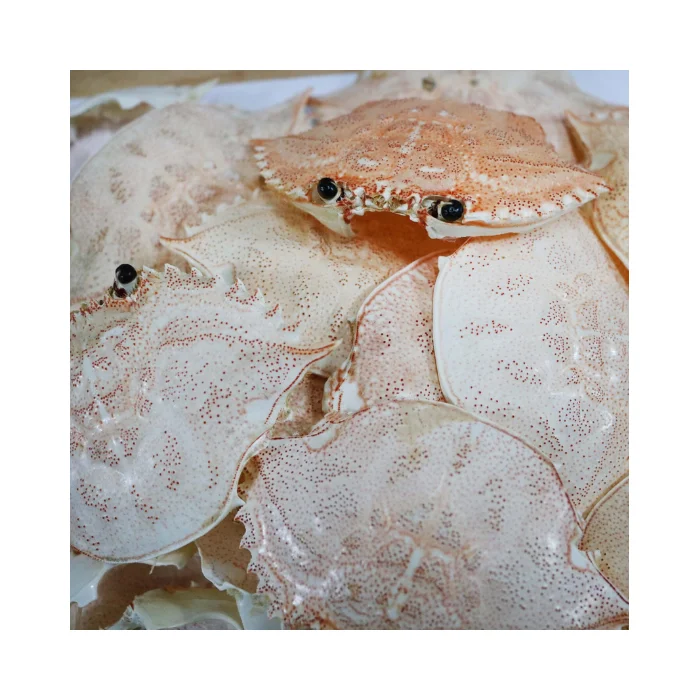 Vietnam Dried Crab Shells - The Perfect Choice For Pharmaceutical And ...