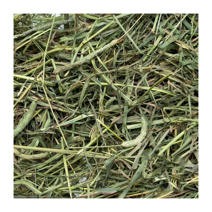 Timothy Hay For Animal Feeding /alfalfa Hay Pellets /timothy Hay In ...