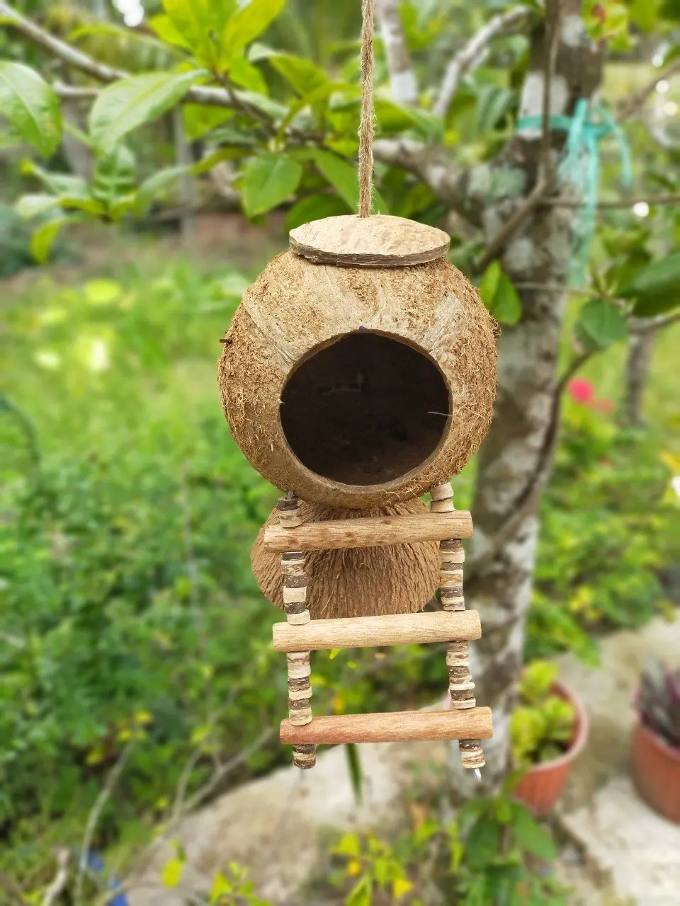 COCO - ECO BRAND NATURAL COCONUT SHELL BIRD NET HANDMADE COCONUT SHELL ...