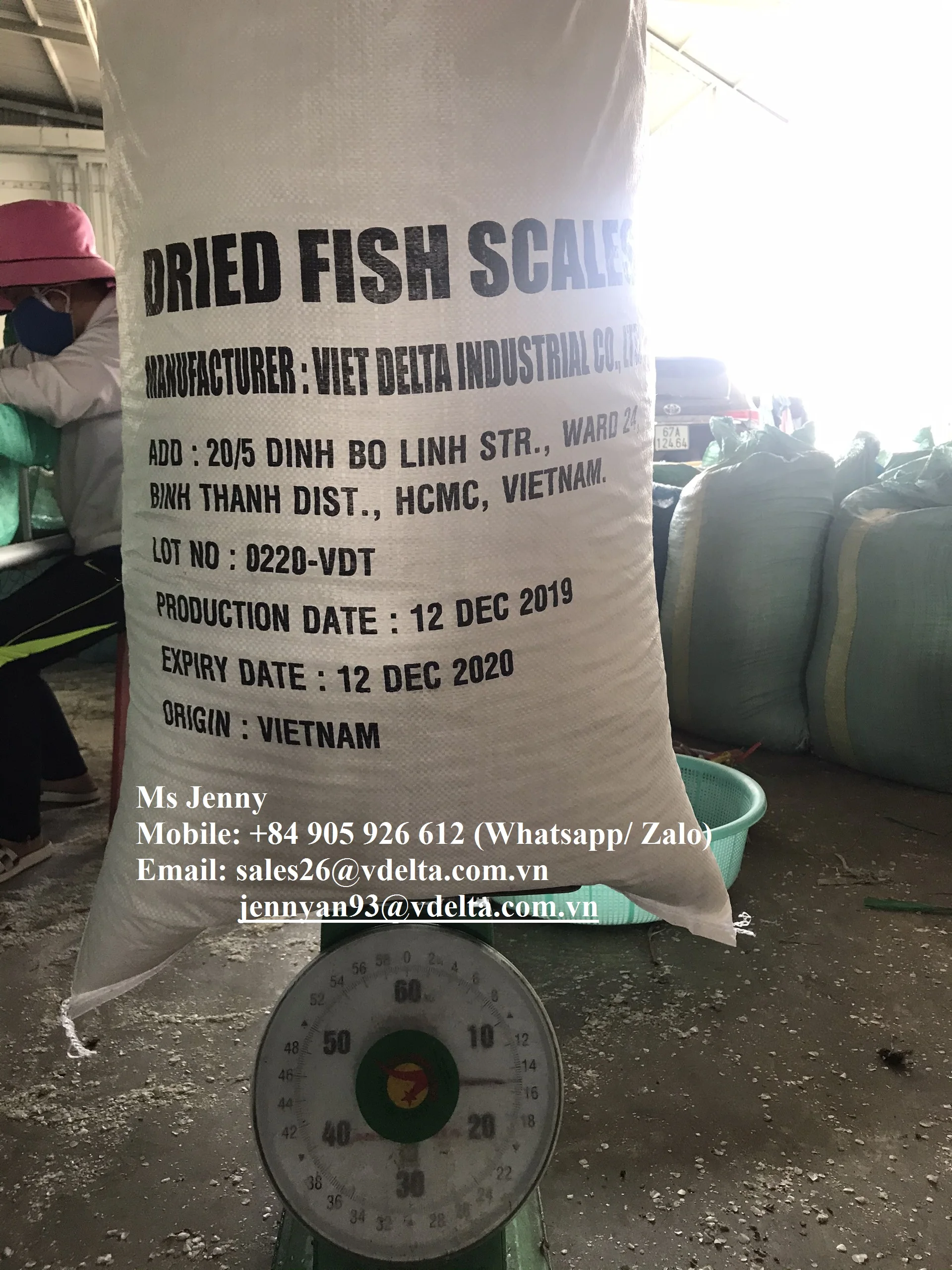 Fish Scales For Collagen 100% Export Quality Cheap Price From ...