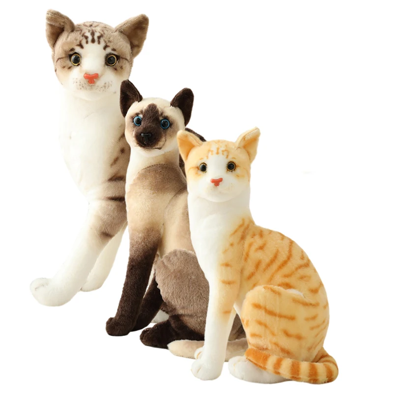 Realistic Stuffed Animal Siamese Cat Plush Doll Customized Tanuki Cat ...