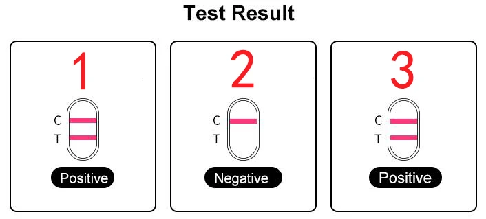 Pet Health Early Pregnancy Test Card For Dogs And Cats - Buy Pregnancy ...