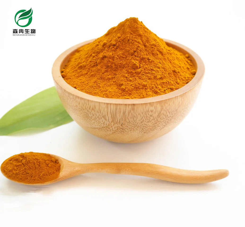 Hot Sale Natural Anti-inflammatory Turmeric Extract Powder Curcumin 95% ...
