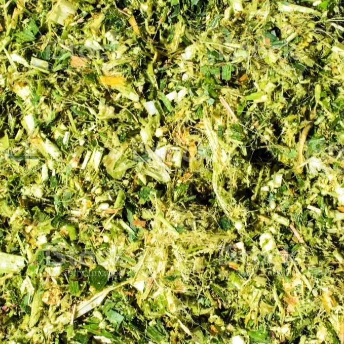 Corn Silage/corn Silage Animal Feed - Buy Animal Feed Distributors ...
