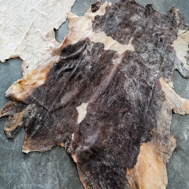Alibaba.com: MACHINE FLAYED WET SALTED OX/HEIFER HIDES FROM the ...