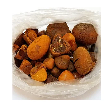 Outstanding Natural 100% Cow Gall Stones / Ox Gallstones/good Quality ...