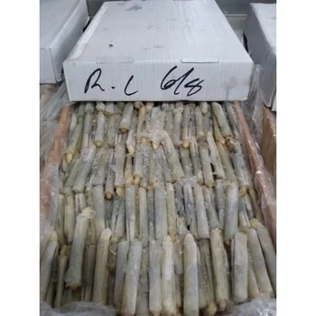 New Stock Frozen Razoor Clam Available In Limited Price - Buy Razor ...