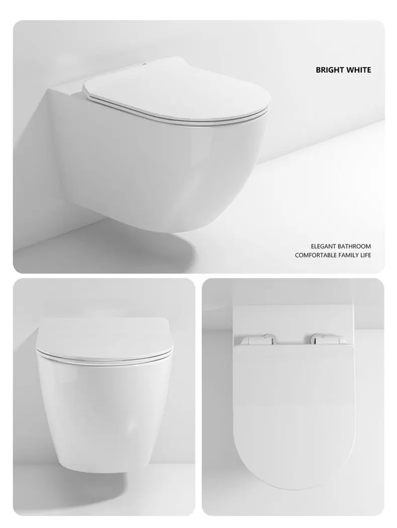 Inodoro Modern European Wc Suspendu Hanging Mounted Water Closet Matt ...