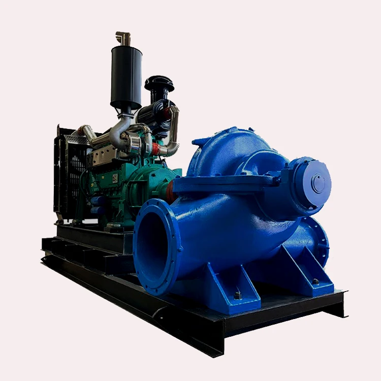 Double Suction Centrifugal Pump Seawater Pump High Traffic Large ...