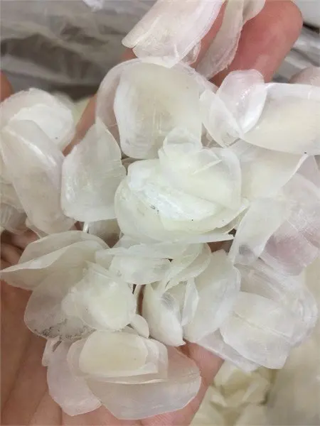 Best Selling 2024 Fish Scales Quality From Vietnam Supplier - Buy Fish ...