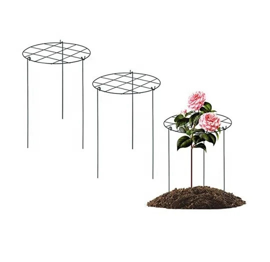 Plant Brace Flower Support Rings Grow Through Hoops With 3 Pcs Legs For ...