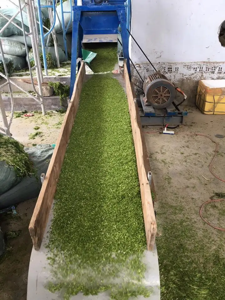 Alibaba.com: ULVA LACTUCA SEAWEED Powder, Dried Green Seaweed for Hot ...