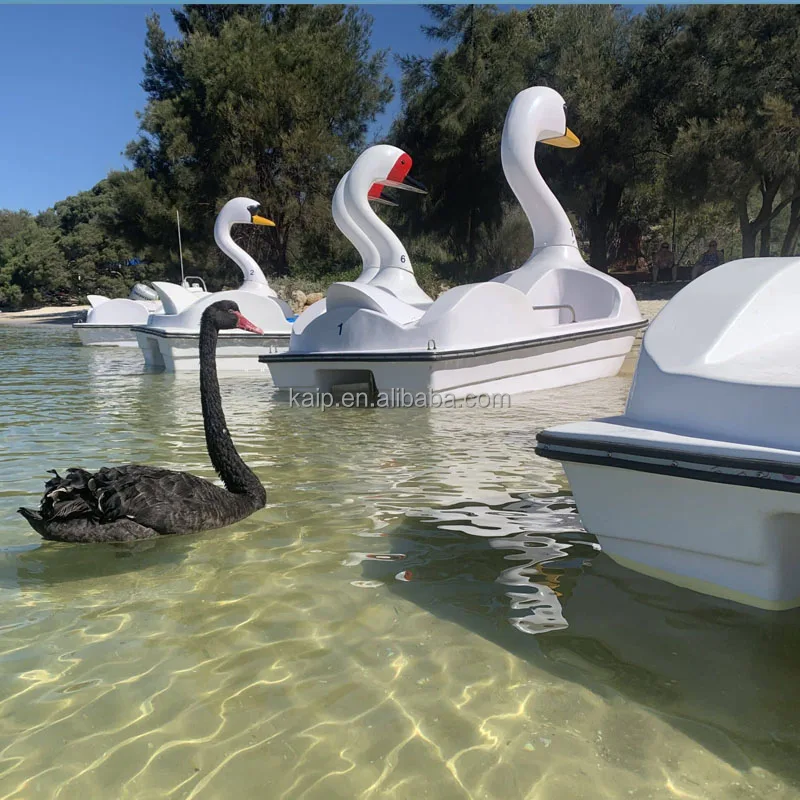 Commercial Water Pedal Boat in Multi-Color White Swan Theme for Two ...