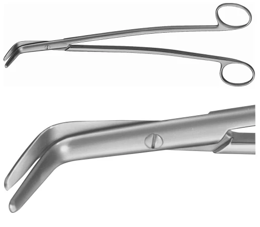 Zarnab 27cm Micro Rectal Surgical Scissors German Grade Stainless Steel ...