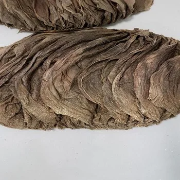 Frozen Salted Beef Omasum - Buy Beef Tripe Beef Omasum,Frozen Omasum,Dry Beef Omasum For Sale ...