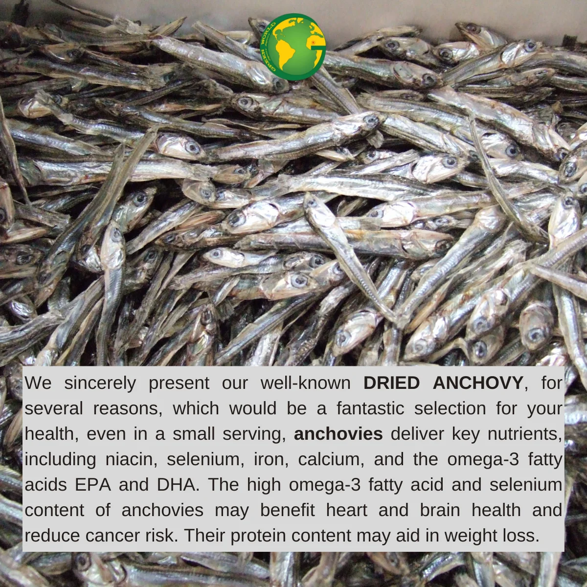 Delicious Dried Anchovy Fish Vietnam - High Quality Seafood