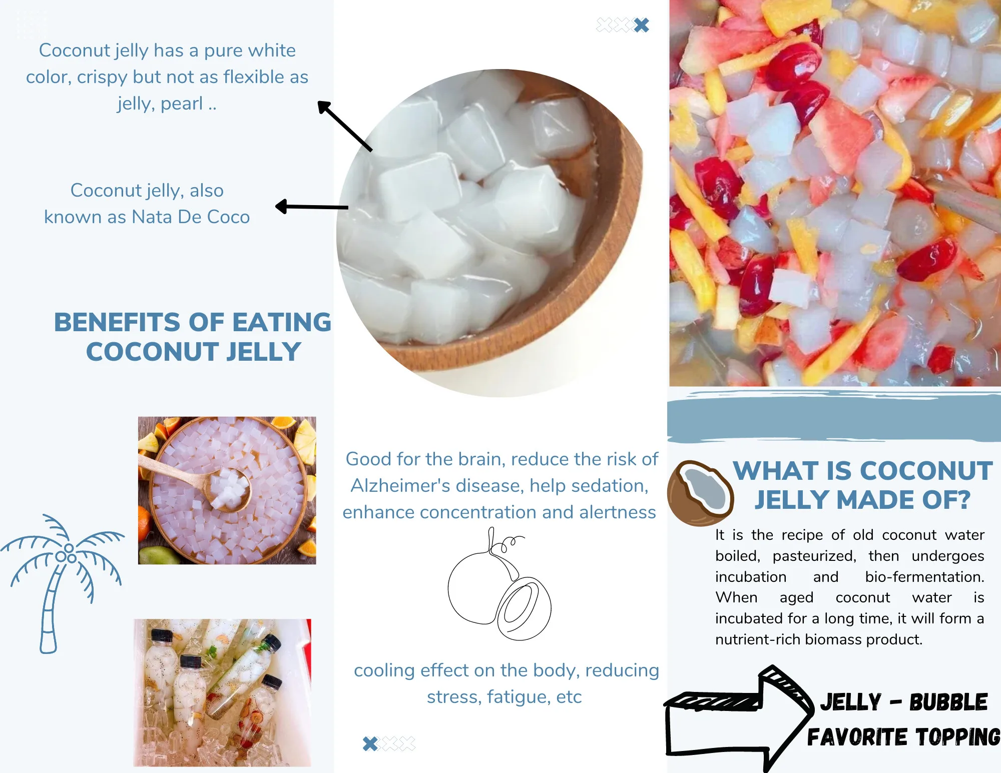 Vietnamese Delight: Premium Nata De Coco In Syrup Coconut Jelly Pudding ...