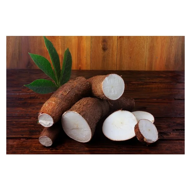 Best Price Fresh Vegetables Cassava Bulk Stock Available With ...