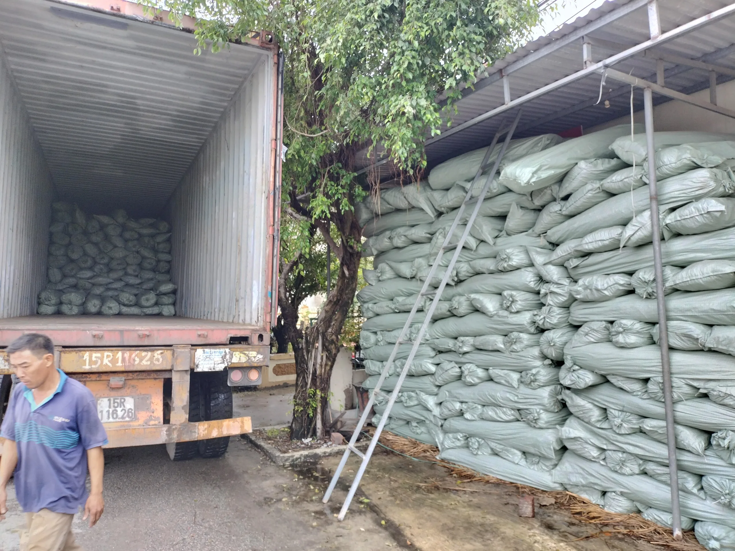 Thatch Roof Sheets - Durable Natural Palm Grass Roll