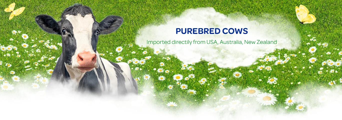 Vinamilk Green Farm - Uht Fresh Milk - Plain (no Sugar/sugar Free ...