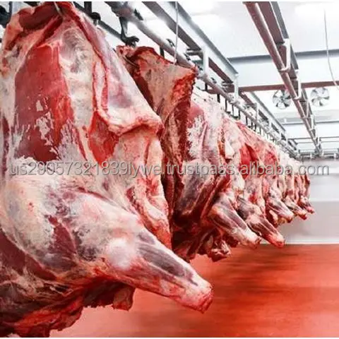 Fresh Lamp Frozen Meat Beef/cow Meat All Parts Customized Packing ...