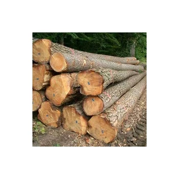 Pine,Hardwood Timber,Teak Wood / Pine Wood Logs,Oak Wood Logs For ...