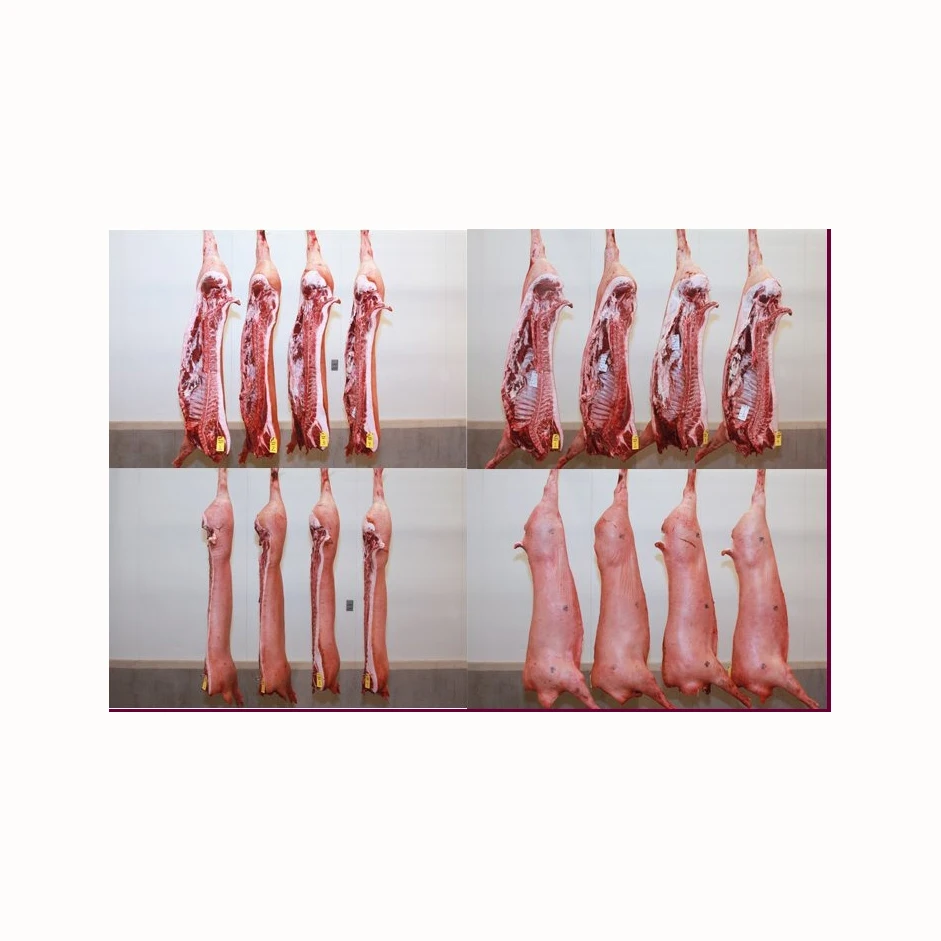 Frozen Front Pork Grade Best Quality Frozen Pork Origin Available For ...