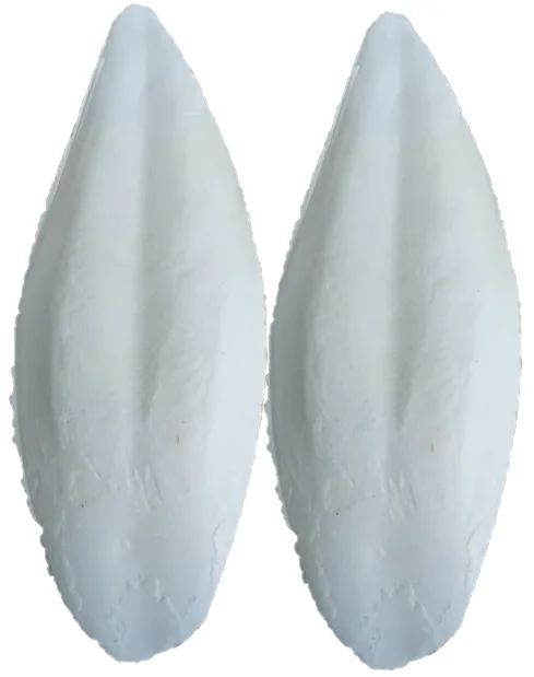 White Color Double Packing Cuttlebone For Birds 5 Inches High Quality ...