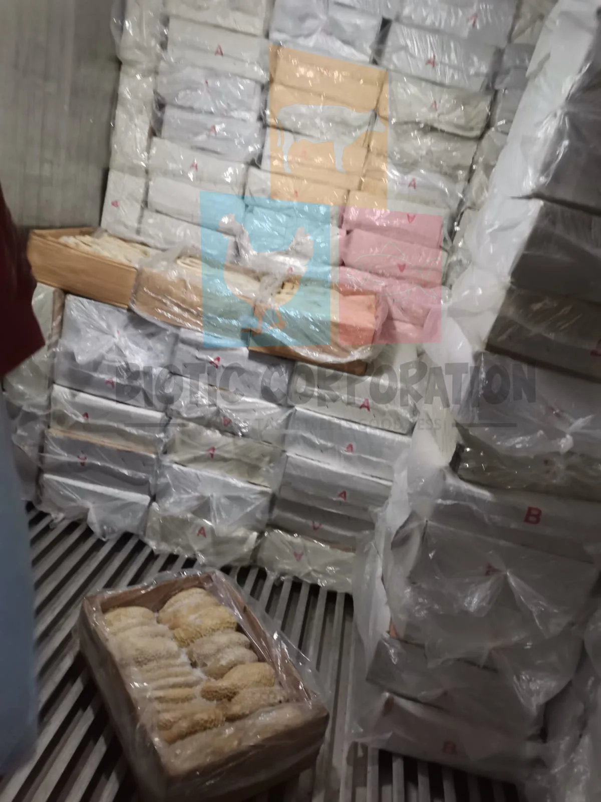 Beef Tripe With Honeycomb Available To Export Hongkong And Vietnam Port ...