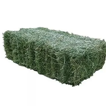 Dehydrated Alfalfa Cubes/high Protein Alfal Fa Hay / Alfalfa Hay Bales & Pallets Animal Feed ...