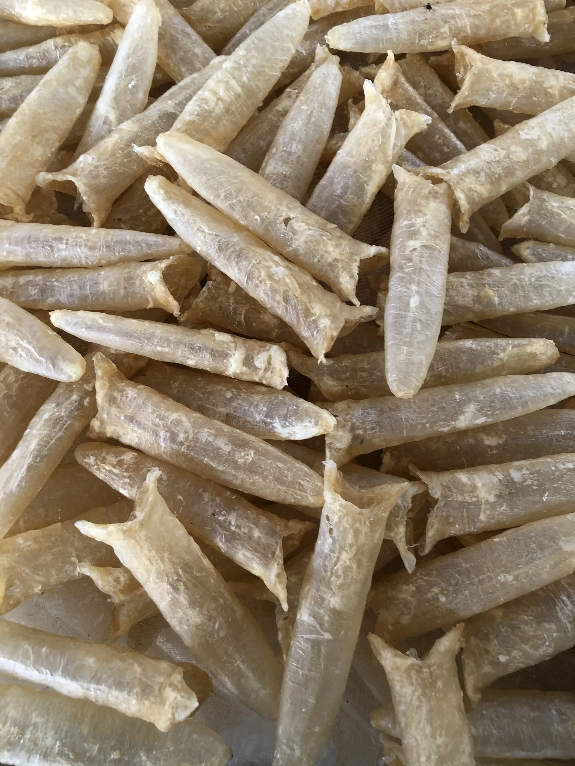Factory Price Vietnamese Yellow/white Maw Dried Fish Maw For Export ...