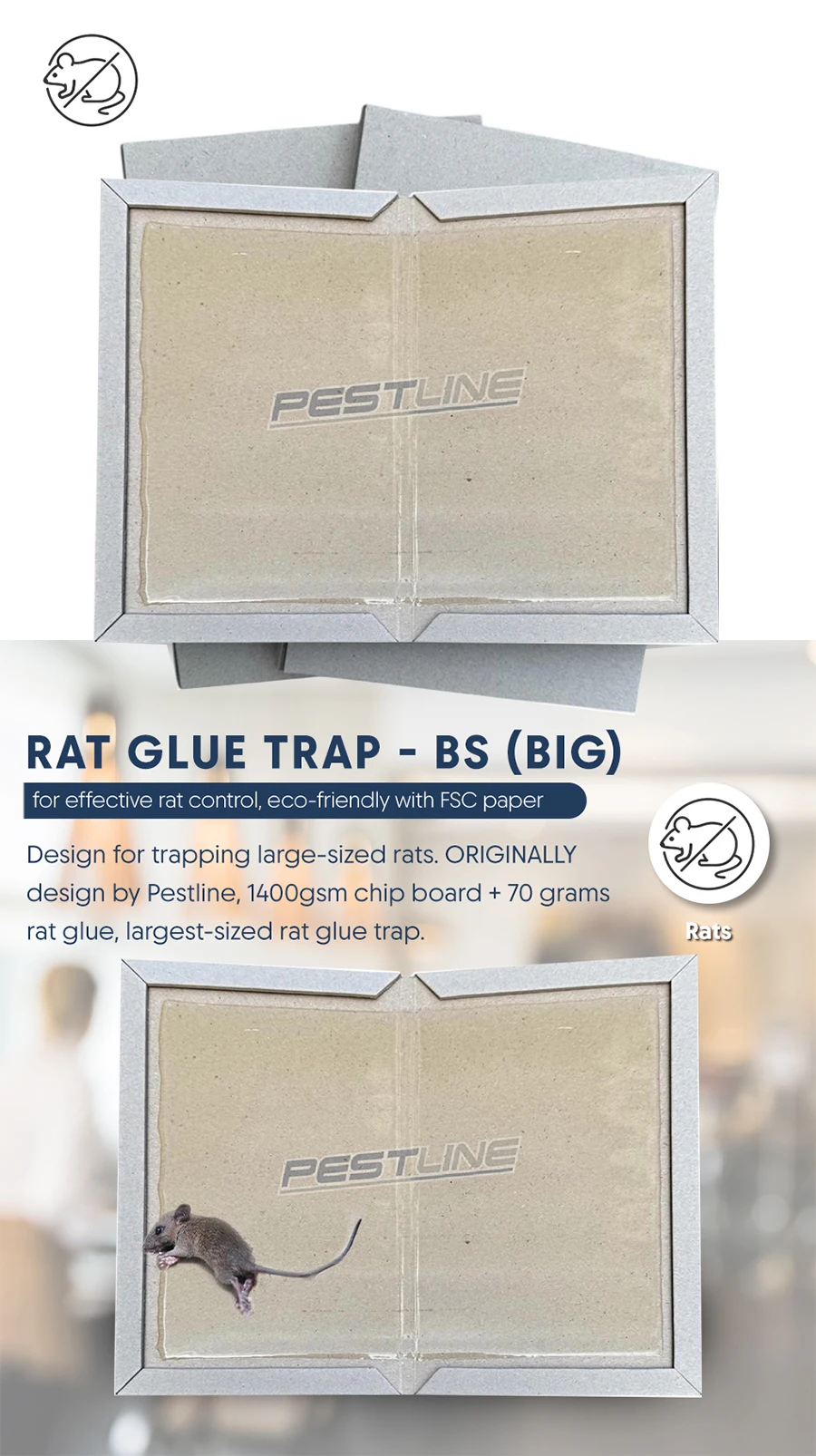 Pestline BS (Big) 70g Rat Glue Trap Quality Proven LARGEST-sized and ...