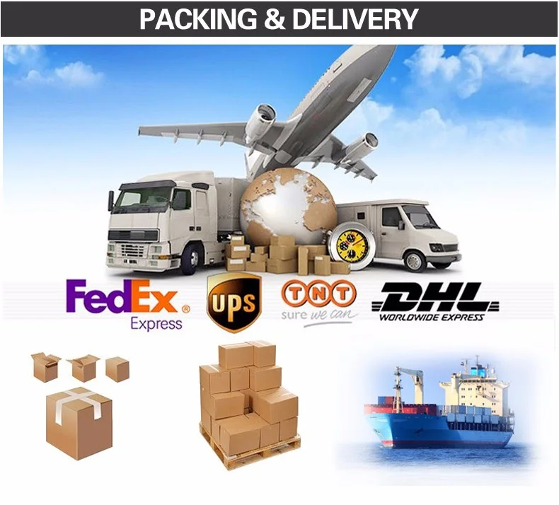 20ft 40ft Dry Cargo Shipping Container With Csc - Buy Used Container 20 ...