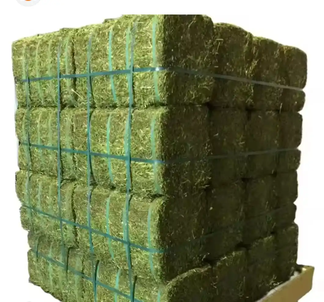 Alfalfa Hay For Animal Feed - Buy Alfalfa Hay For Sale Product on ...