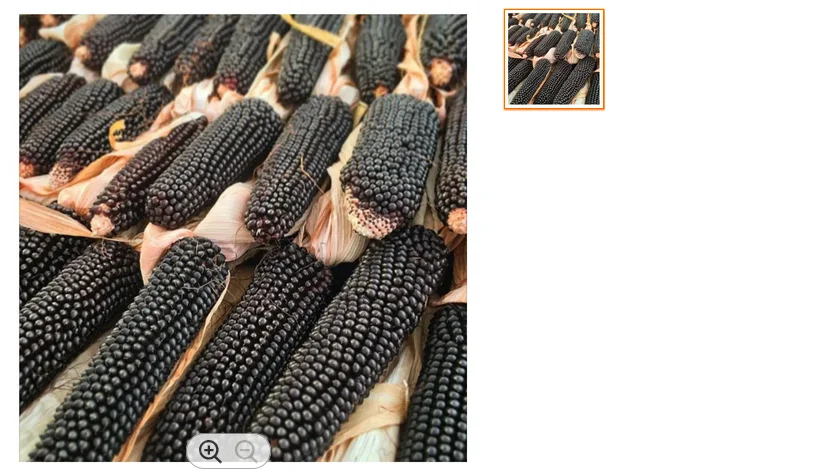 Best Quality Bulk Black Corn / Fresh Farm Black Corn / Fresh Black Corn ...