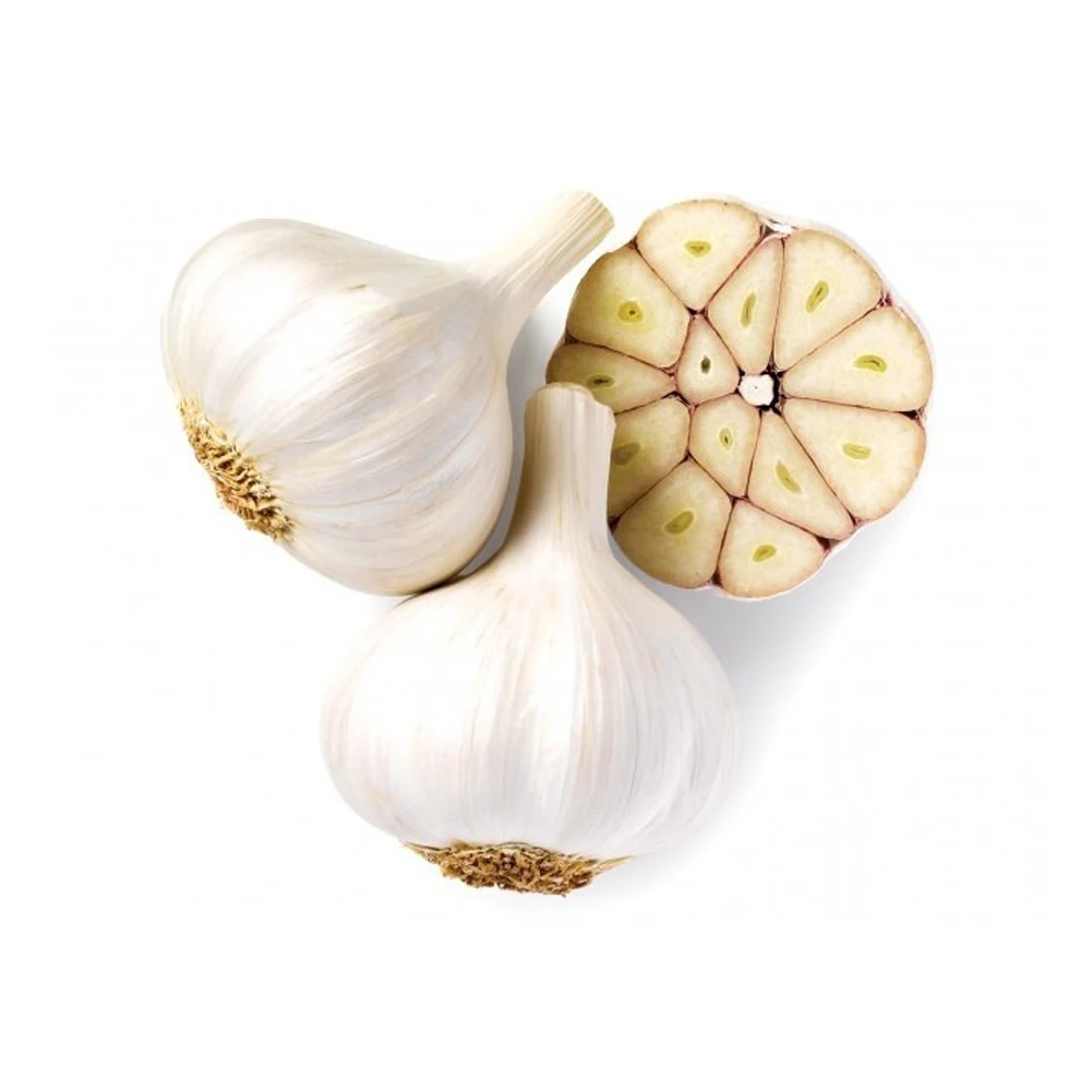 Organic Garlic Powder Money Saving Product Garlic Powder Tested And ...
