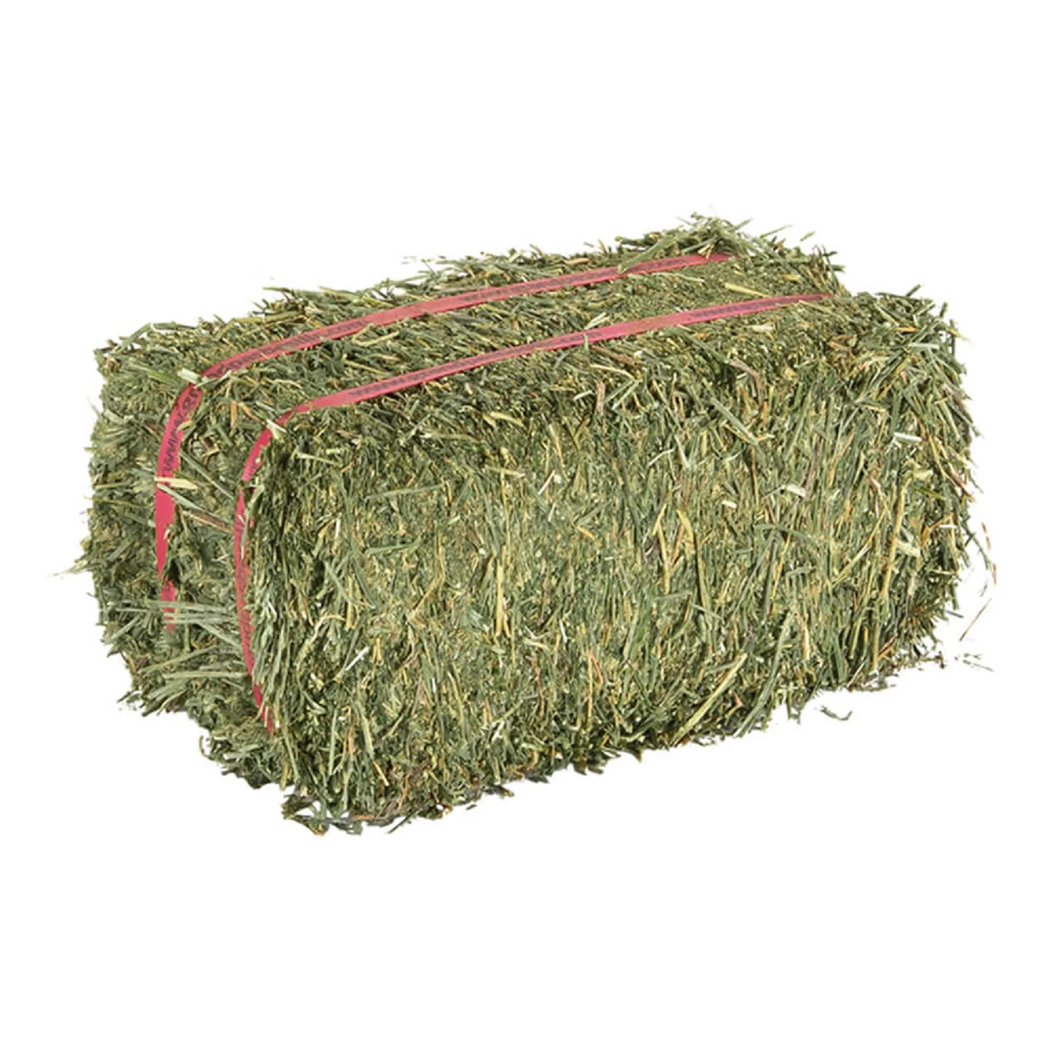 Best Grade Alfalfa Hay Bales Cattle Horses Feed, Alfalfa Hay Price ...