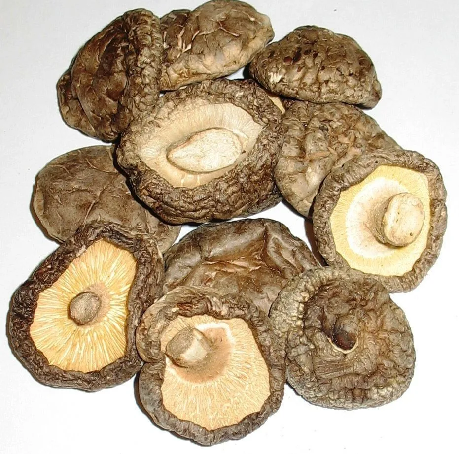 Wholesales For Top Grade Mushroom Vietnamese Organic Dried Shiitake ...
