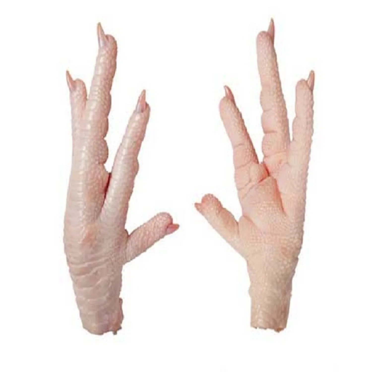 Halal Grade One Chicken Feet / Frozen Chicken Paws Brazil/chicken Wings ...
